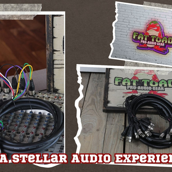 XLR Studio Snake Cable | Pro-Audio Patch Cord for 8 Channel ...